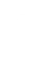 SMELLING SALTS – Obsidian Ammonia